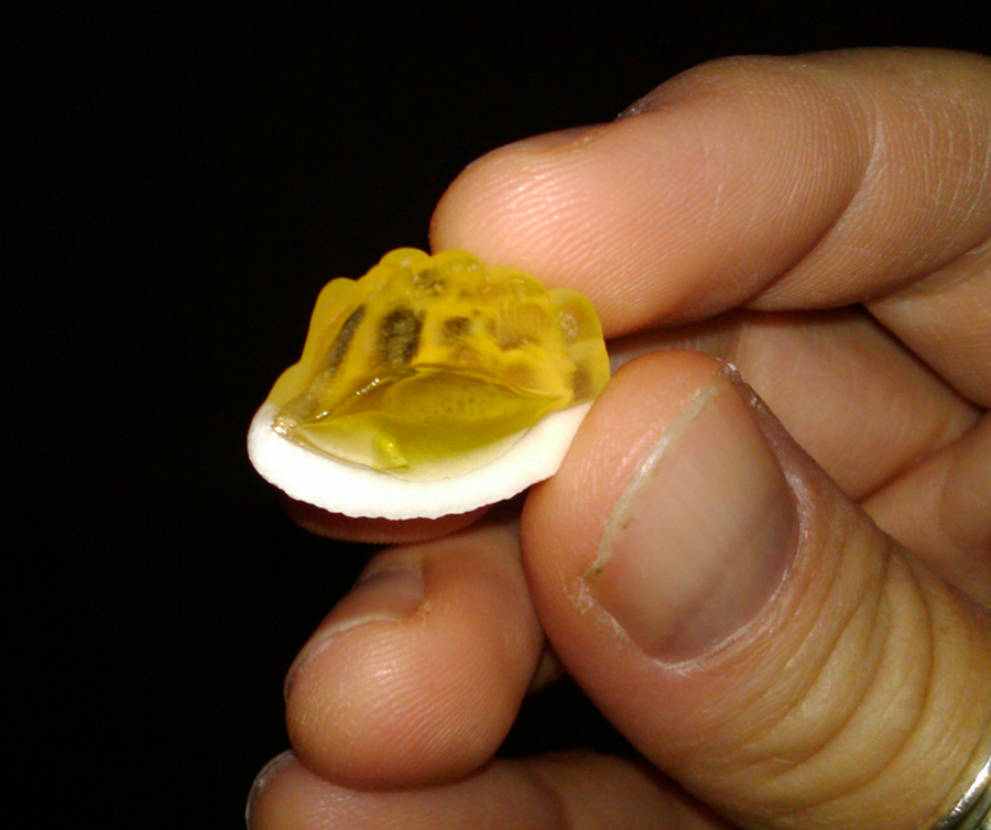 Haribo Fruity-Bussi : So Soft & Juicy, They Make Me All Loosy Goosey ...